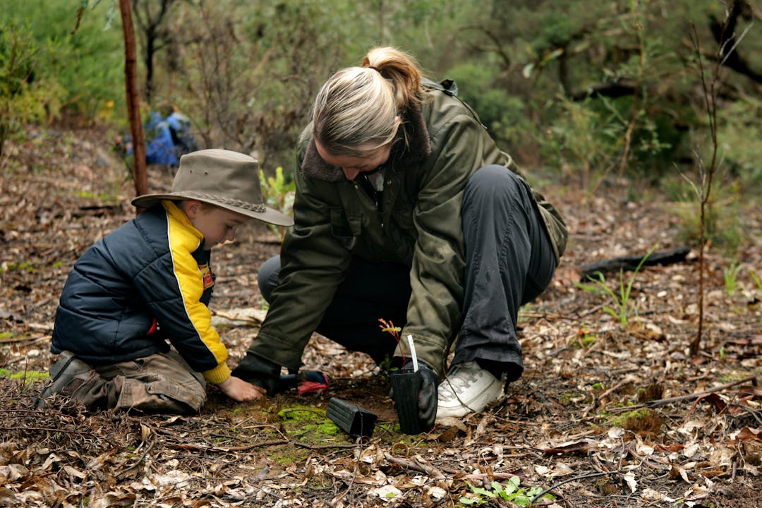 Harber Park Community Tree Planting Day | Engage Armadale
